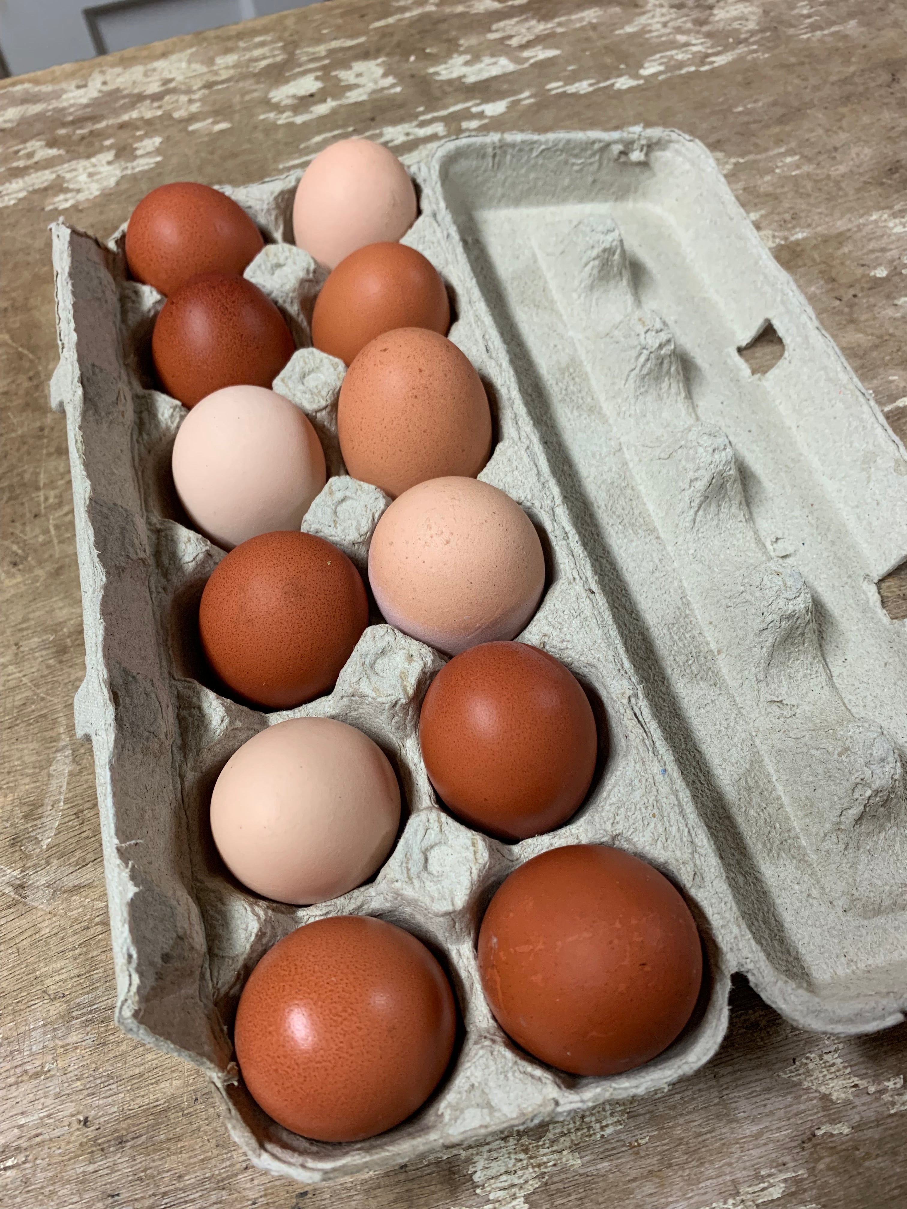 Free range chicken eggs size big – Quebec Fresh